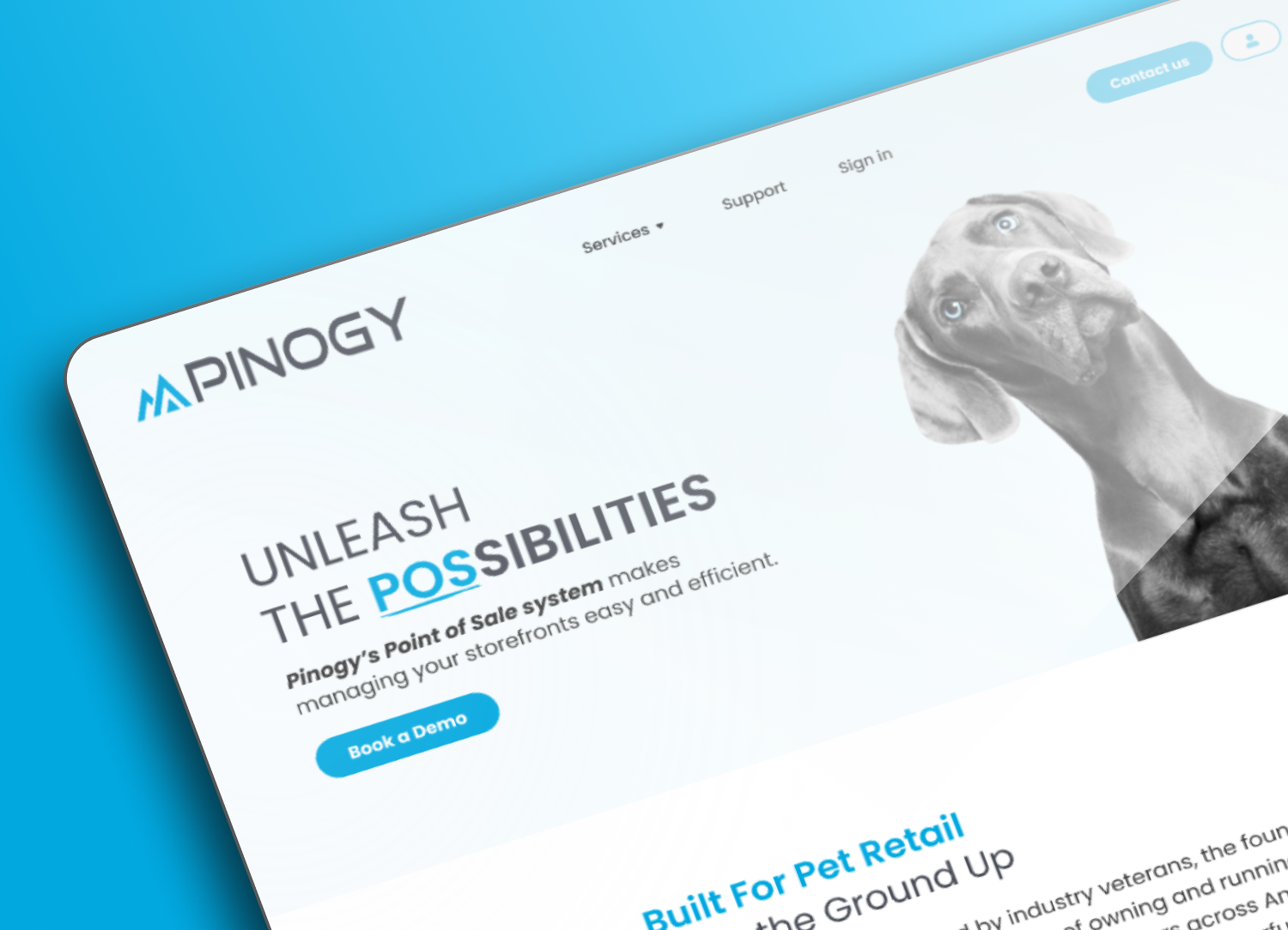 Pinogy - Yannick Studio